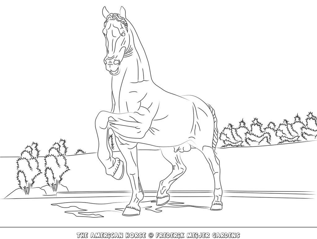 Color GR - Grand Rapids Coloring Book | Free Shipping